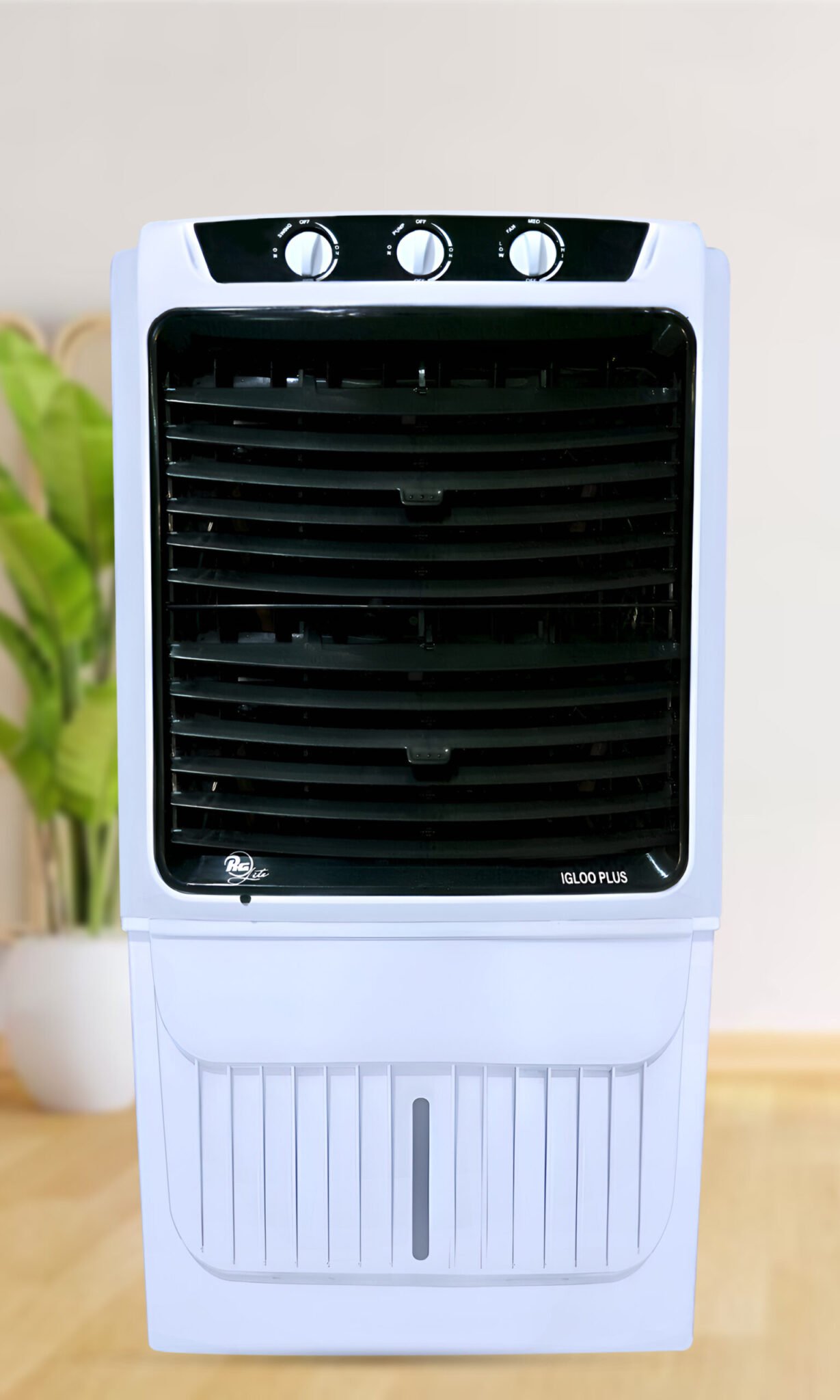Igloo Plus – RGLite